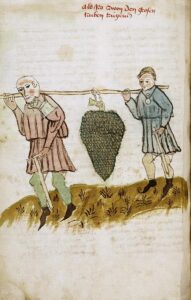Medieval Occupations and Jobs: Farmer. History and Life of Peasants