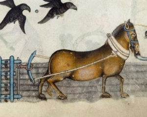 The Medieval Horse. What Was Life Like for Horses in the Middle Ages?